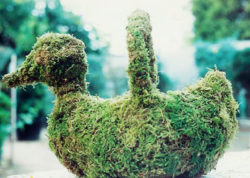 Cliff Finch's Topiary Zoo - Making quality topiary frames since 1981