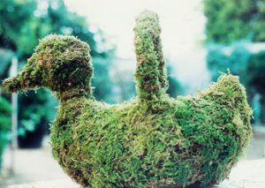 Cliff Finch's Topiary Zoo - Making quality topiary frames since 1981