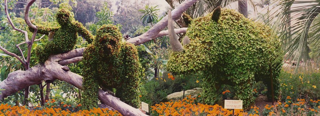 Cliff Finch's Topiary Zoo - Making quality topiary frames since 1981