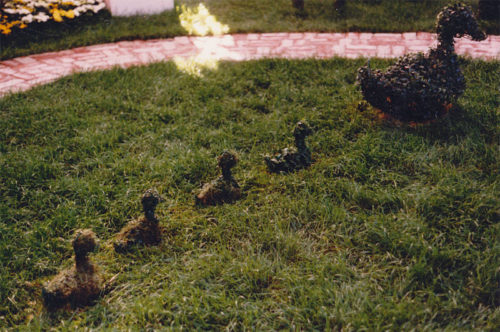 What Is Topiary - Cliff Finch's Topiary Zoo