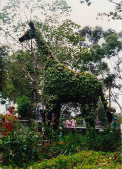 Garden Topiary - Cliff Finch's Topiary Zoo